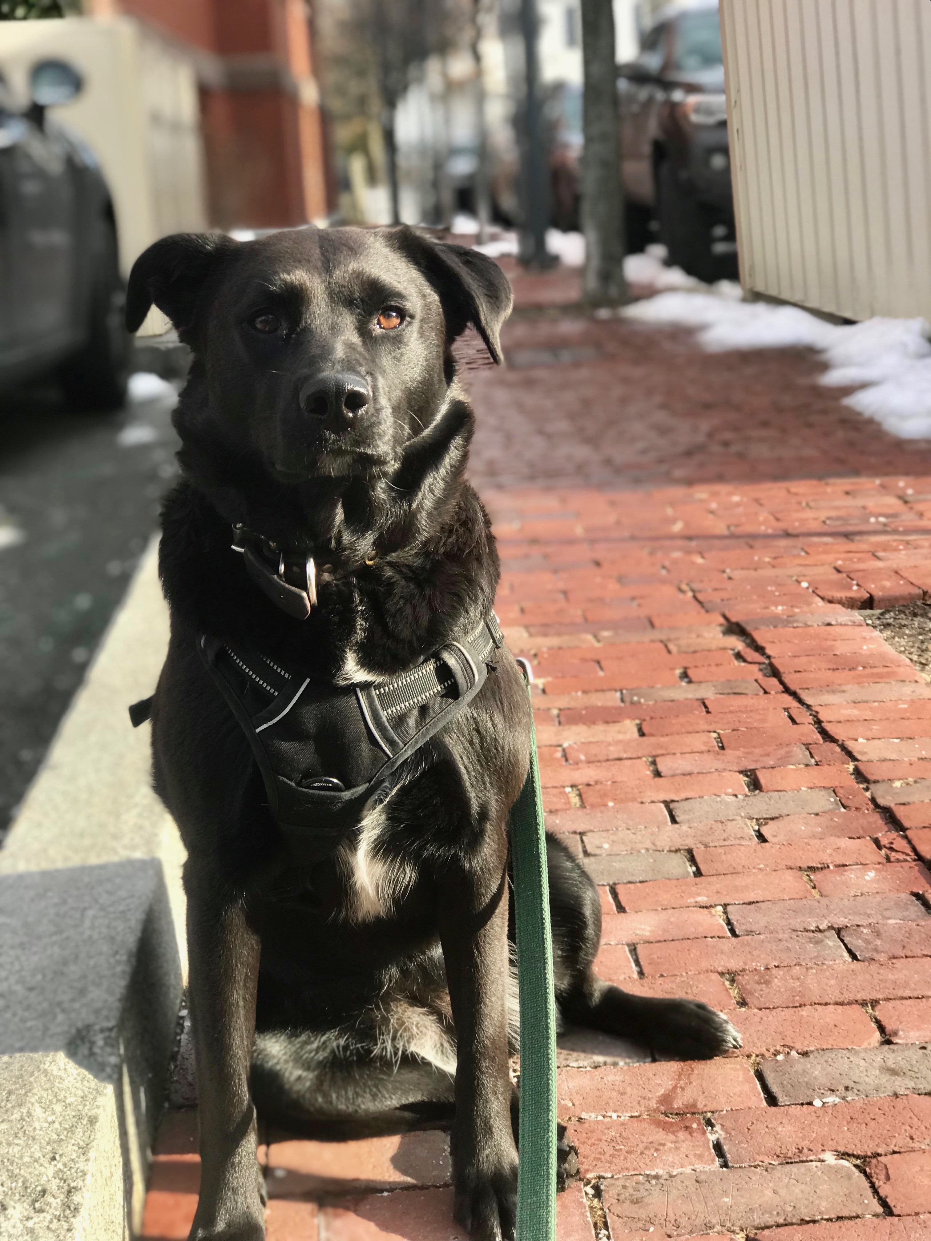 A little bit about Molly